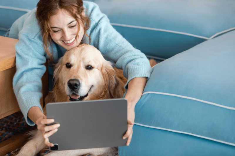 Las Mejores Herramientas Digitales para Mascotas en 2023 - Digivet