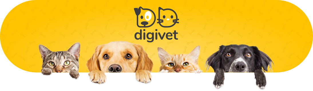¿Eres Marca? - Digivet